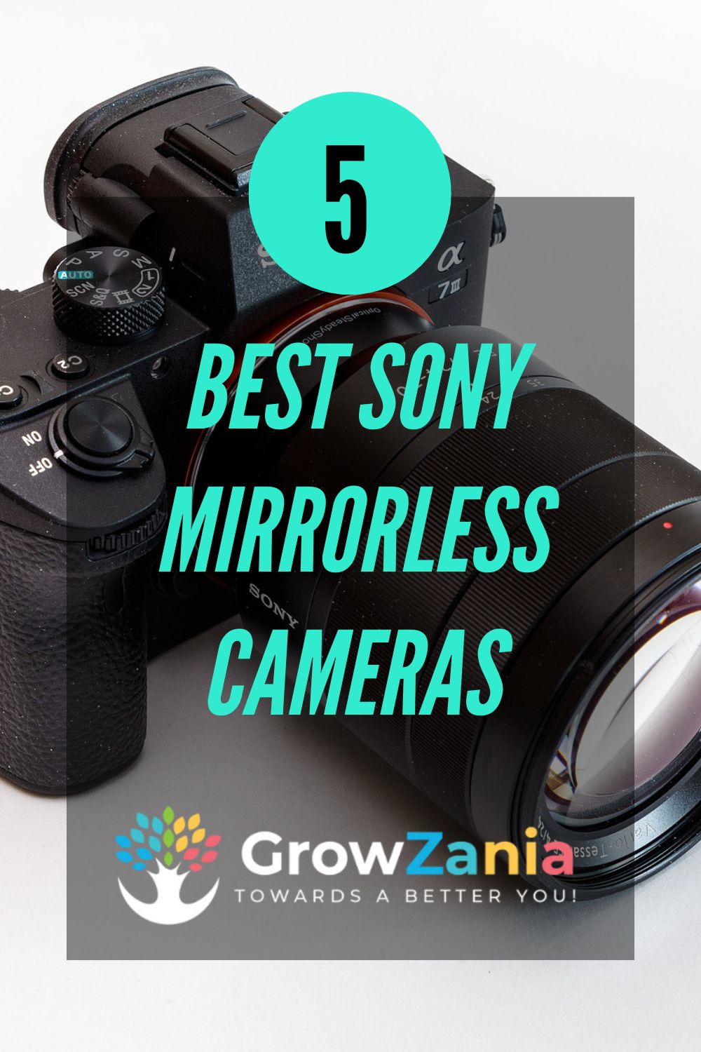 The 5 Best Sony Mirrorless Cameras in 2025 (Honest & Unbiased) - GrowZania